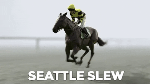 Horse Racing GIF by Kentucky Derby - Find & Share on GIPHY