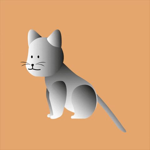 Cat Whiskers GIFs - Find & Share on GIPHY