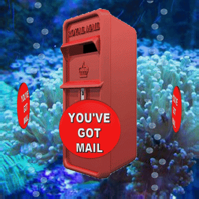 Youve Got Mail Gif