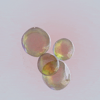 Soap Bubbles Gif
