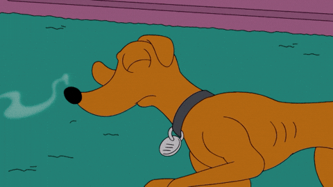 Smells Good The Simpsons GIF by AniDom - Find & Share on GIPHY