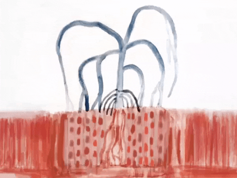 Blood And Roots GIFs - Get the best GIF on GIPHY