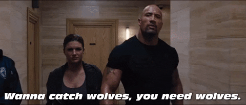 Wanna-catch-wolves GIFs - Get the best GIF on GIPHY