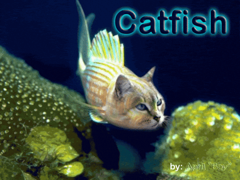 Catfishers GIFs - Get the best GIF on GIPHY