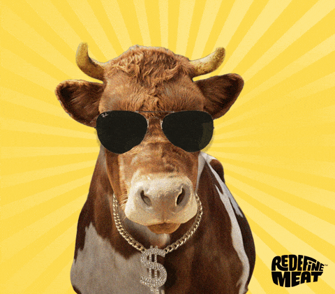 Cow Meatlover GIF by Redefine Meat - Find & Share on GIPHY