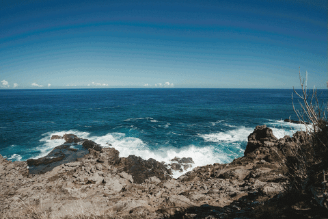 Water Beach GIF by Andrea Michelle Photography - Find & Share on GIPHY
