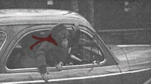 Monkey Car GIFs - Get the best GIF on GIPHY