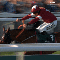 Grand National 2019 by The Jockey Club | GIPHY