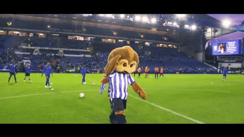 Sheffield Wednesday GIFs - Get the best GIF on GIPHY