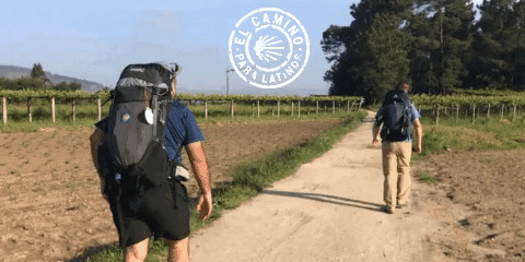 Buen Camino GIFs - Get the best GIF on GIPHY