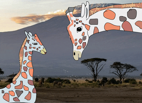 Animal Kingdom!! - Wakelet