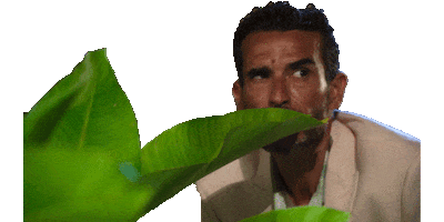 Back in the Groove GIFs on GIPHY - Be Animated