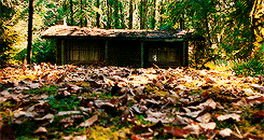 Cabin In The Woods GIFs - Find & Share on GIPHY