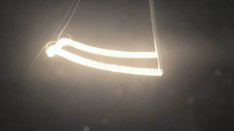 Filament GIFs - Get the best GIF on GIPHY