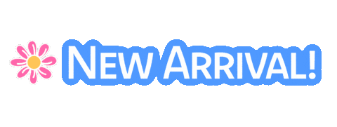 Decorating Outlet GIFs on GIPHY - Be Animated