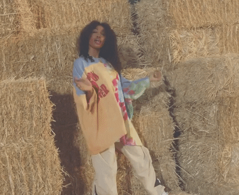 Hay Bale GIF by SZA - Find & Share on GIPHY