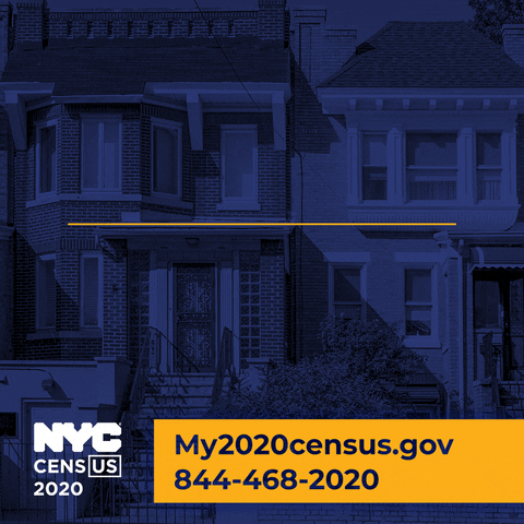 NYC Census 2020 GIFs on GIPHY - Be Animated