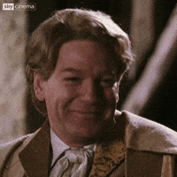 Professor Lockhart Gif
