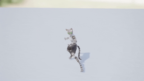 Cat Kick GIFs - Get the best GIF on GIPHY