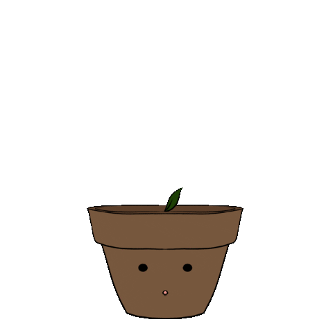 Plant Growing Animated Gif