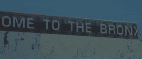 Jay-leyda-a-bronx-morning GIFs - Get the best GIF on GIPHY