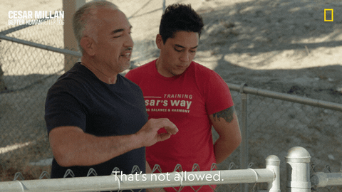 Thats-not-allowed GIFs - Get the best GIF on GIPHY