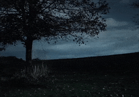 Girl Running In Field Gif