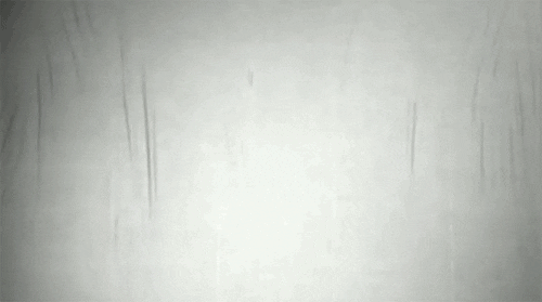 Art Nuke GIF by hoppip - Find & Share on GIPHY