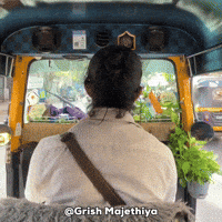 Bert Auto Gif Bert Car Gif GIF | Tenor