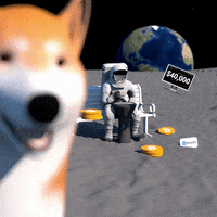 Doge Dancing Gif