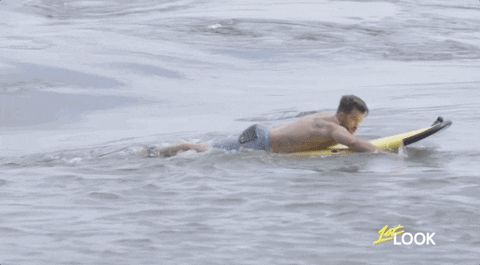 Nowhere Fast GIFs - Get the best GIF on GIPHY