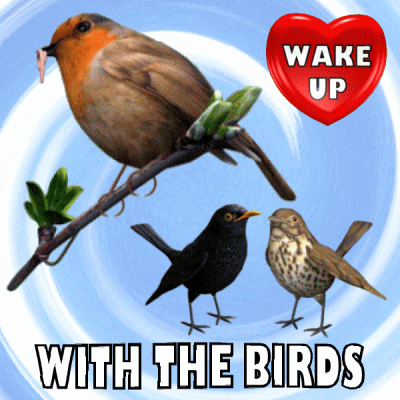 Wake Up Early GIFs - Get the best GIF on GIPHY