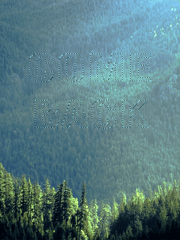 Forest Moon Of Endor GIFs - Get the best GIF on GIPHY