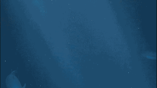 Hammerhead-shark GIFs - Get the best GIF on GIPHY