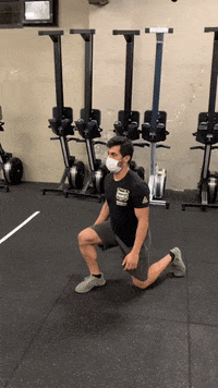 Squat Gif