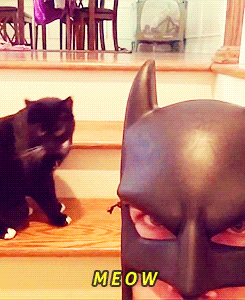 Batdad GIFs - Get the best GIF on GIPHY