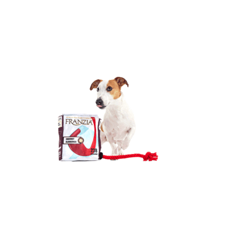 Bark x Franzia GIFs on GIPHY - Be Animated