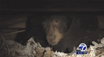 Nap Time GIFs - Find & Share on GIPHY