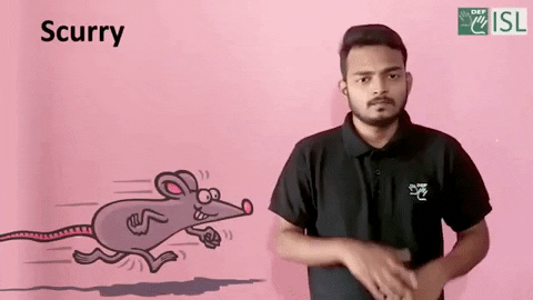 Scurry Sign Language GIF by ISL Connect - Find & Share on GIPHY