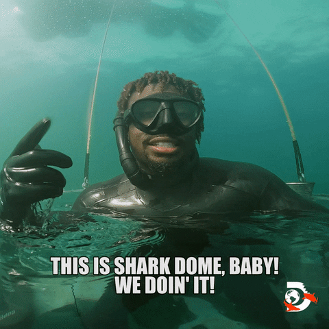 Free Dive GIFs - Get the best GIF on GIPHY