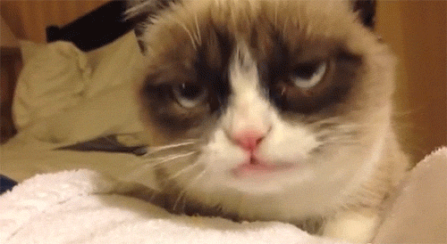 Happy Grumpy Cat Gif