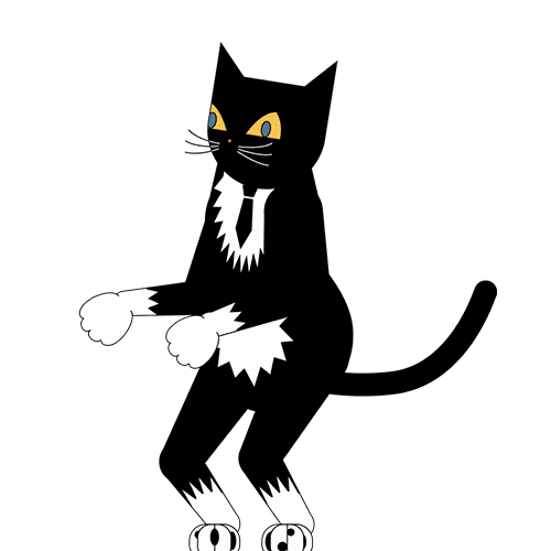Dancing Cat Gif Transparent