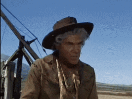 Cat With Gun GIFs - Find & Share on GIPHY