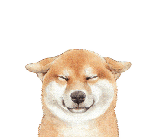 Shiba Inu Smile Gif
