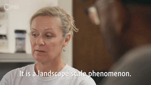 Quake-natural-phenomenon GIFs - Get the best GIF on GIPHY