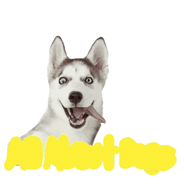 All About Dogs Show Logos GIFs on GIPHY - Be Animated