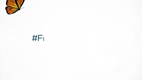 Project-fi GIFs - Get the best GIF on GIPHY