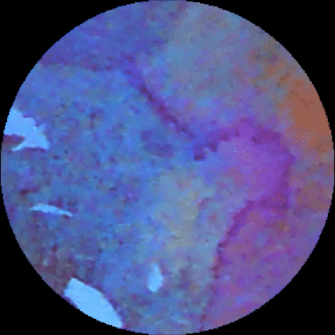 Full Moon GIF - Find & Share on GIPHY