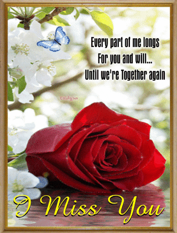 Together Again GIFs - Find & Share on GIPHY