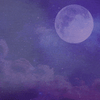 Howling-at-the-moon GIFs - Get the best GIF on GIPHY